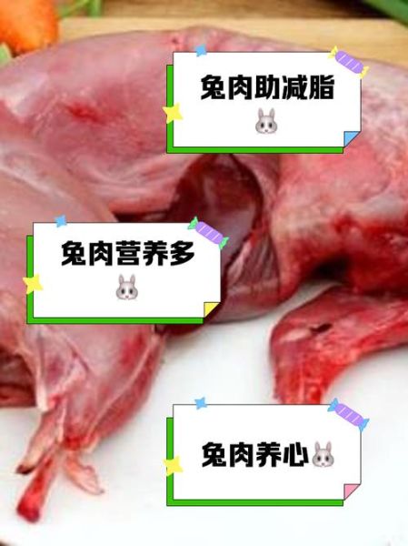 兔子肉的功效与作用_孕妇能吃兔子肉吗-第3张图片-山城妙识
