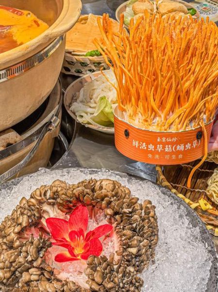 虫草菇的营养价值_虫草菇的功效与作用-第3张图片-山城妙识