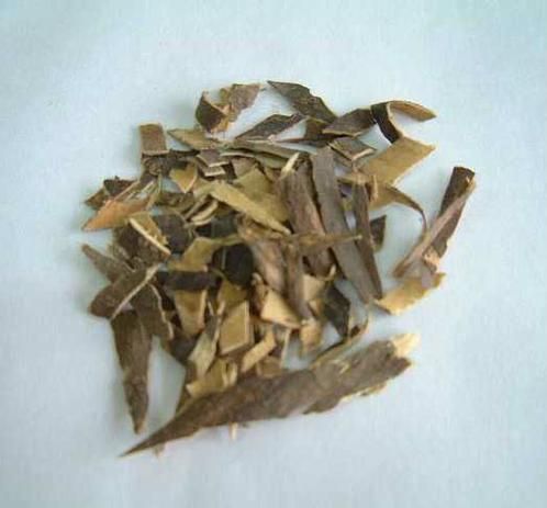 秦皮图片长什么样_秦皮和杜仲皮怎么区分-第2张图片-山城妙识