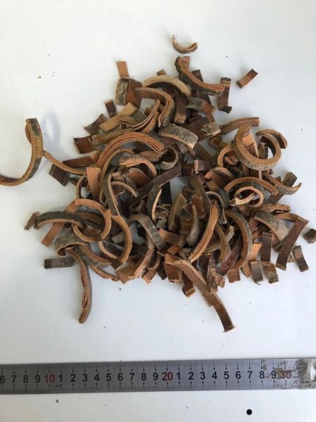 秦皮图片长什么样_秦皮和杜仲皮怎么区分-第3张图片-山城妙识