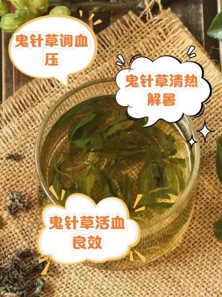 鬼针草降血压怎么用_鬼针草治高血压一天吃几次-第1张图片-山城妙识