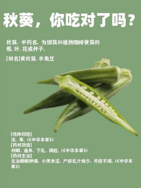男人吃秋葵有什么好处_秋葵对男性真的壮阳吗-第2张图片-山城妙识