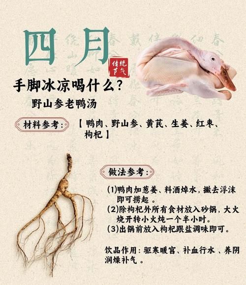 老鸭汤的功效与作用_孕妇可以吃吗-第1张图片-山城妙识