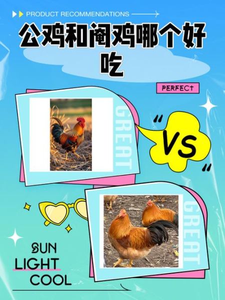 阉鸡的营养价值及功效_阉鸡和公鸡营养区别-第3张图片-山城妙识