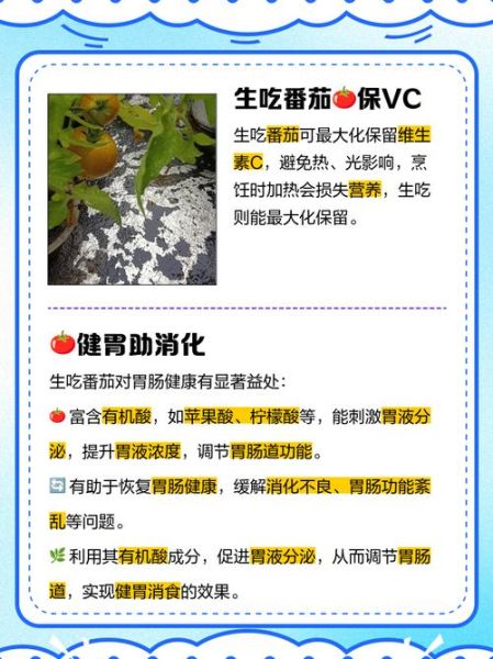 生吃番茄的好处_生吃番茄能减肥吗-第1张图片-山城妙识