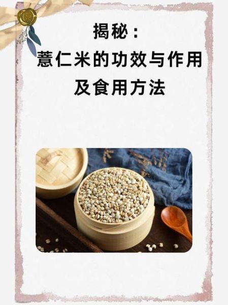 薏仁米怎么吃_薏仁米可以天天吃吗-第1张图片-山城妙识 薏仁米怎么吃_薏仁米可以天天吃吗-第1张图片-山城妙识