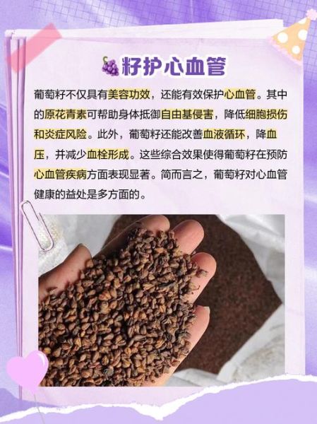 葡萄籽的功效与作用_葡萄籽怎么吃效果最好-第2张图片-山城妙识