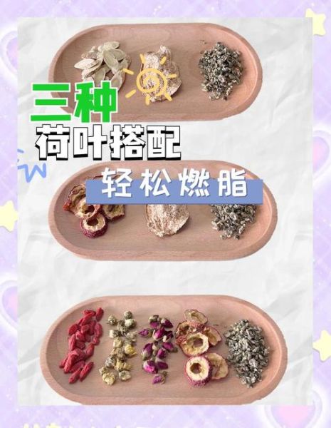 荷叶减肥的正确方法_荷叶茶多久见效-第2张图片-山城妙识