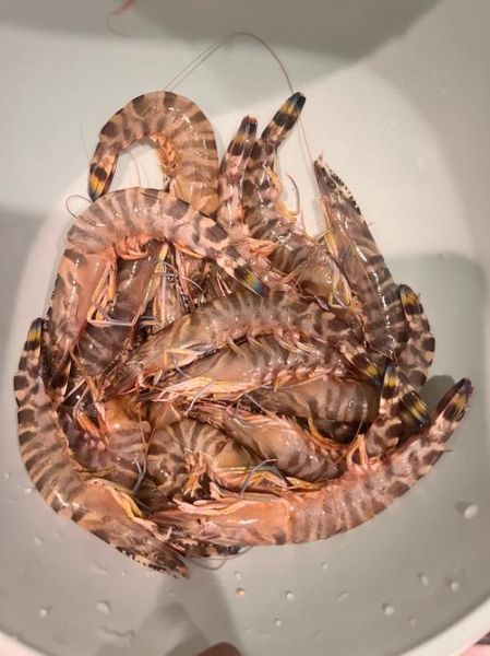 水煮竹节虾怎么煮才鲜嫩_水煮竹节虾要不要去虾线-第1张图片-山城妙识