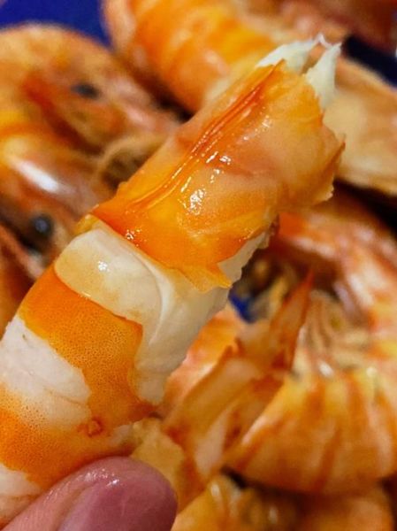 基围虾是海鲜吗_基围虾属于淡水还是海水-第1张图片-山城妙识