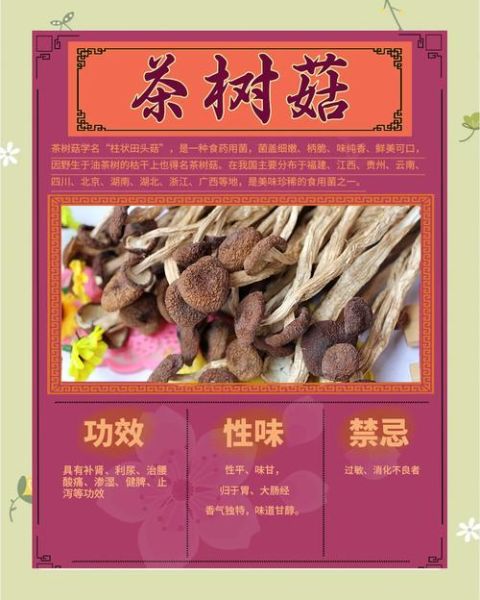 茶树菇汤隔夜能喝吗_隔夜茶树菇汤安全食用指南-第1张图片-山城妙识