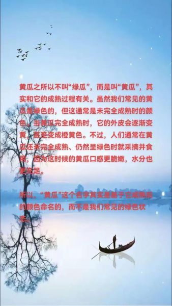 黄瓜为什么叫黄瓜_黄瓜不叫绿瓜的原因-第1张图片-山城妙识