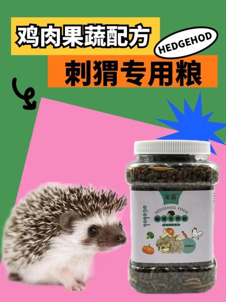 刺猬吃什么_刺猬可以吃什么食物-第3张图片-山城妙识 刺猬吃什么_刺猬可以吃什么食物-第3张图片-山城妙识