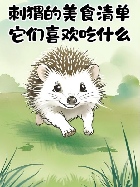 刺猬吃什么_刺猬可以吃什么食物-第2张图片-山城妙识 刺猬吃什么_刺猬可以吃什么食物-第2张图片-山城妙识