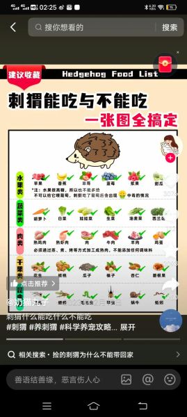刺猬吃什么_刺猬可以吃什么食物-第1张图片-山城妙识 刺猬吃什么_刺猬可以吃什么食物-第1张图片-山城妙识