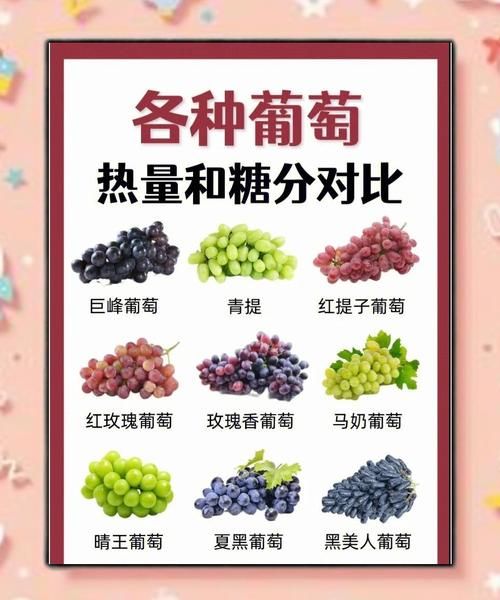 葡萄的营养价值及功效_吃葡萄有什么好处-第3张图片-山城妙识 葡萄的营养价值及功效_吃葡萄有什么好处-第3张图片-山城妙识