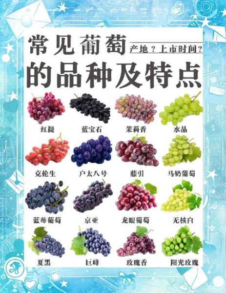 葡萄的营养价值及功效_吃葡萄有什么好处-第1张图片-山城妙识 葡萄的营养价值及功效_吃葡萄有什么好处-第1张图片-山城妙识