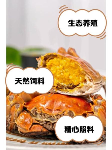 昆明大闸蟹专卖店哪家好_正宗阳澄湖大闸蟹怎么挑-第2张图片-山城妙识