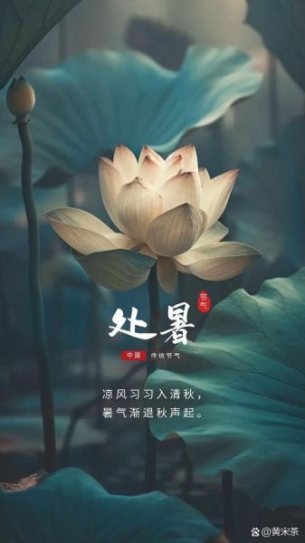 处暑是什么意思_处暑节气的含义是什么-第2张图片-山城妙识