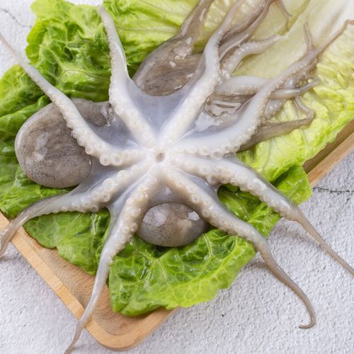 八爪鱼爆头是不清理吗_怎么处理才干净-第3张图片-山城妙识