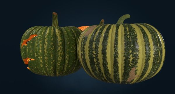 how_to_carve_Halloween_pumpkin_lantern-第3张图片-山城妙识 how_to_carve_Halloween_pumpkin_lantern-第3张图片-山城妙识