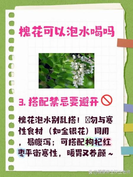 槐花图片功效与作用_槐花泡水喝有什么好处-第2张图片-山城妙识