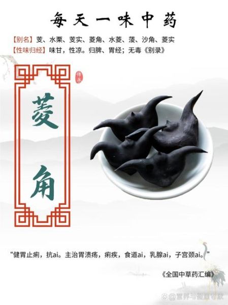 菱角抗癌防癌有奇效吗_怎么吃最有效-第2张图片-山城妙识