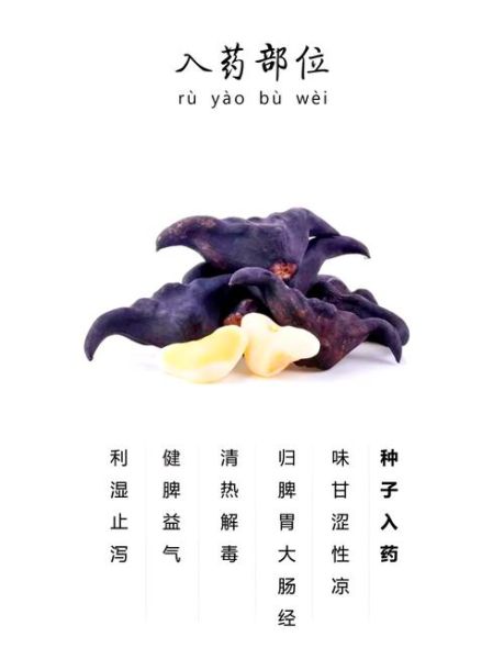 菱角抗癌防癌有奇效吗_怎么吃最有效-第1张图片-山城妙识