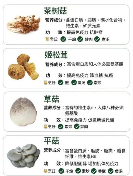 能吃的蘑菇有哪些_常见可食用蘑菇图片与名称对照-第3张图片-山城妙识