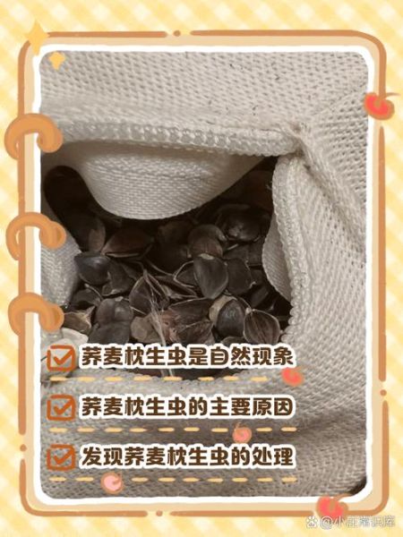 荞麦枕头长虫怎么办_荞麦枕头生虫怎么清洗-第1张图片-山城妙识