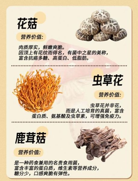 能吃的蘑菇有哪些_常见可食用蘑菇图片与名称对照-第2张图片-山城妙识