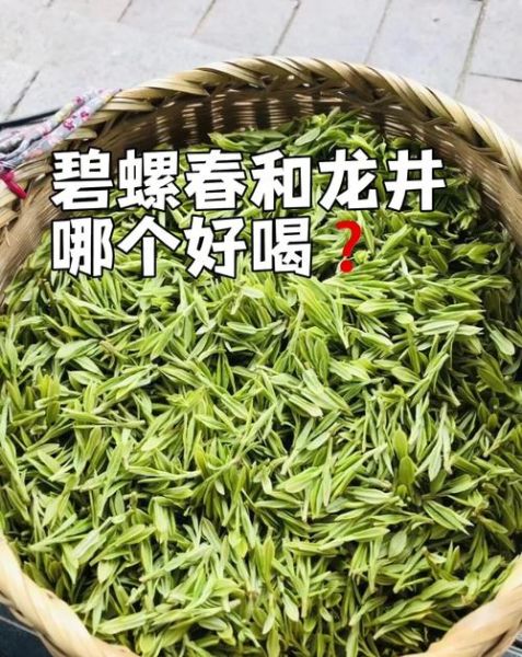 龙井茶和碧螺春的区别_如何辨别真假-第2张图片-山城妙识