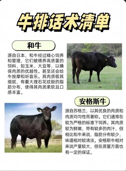 和牛多少钱一斤_为什么和牛价格差异大-第3张图片-山城妙识