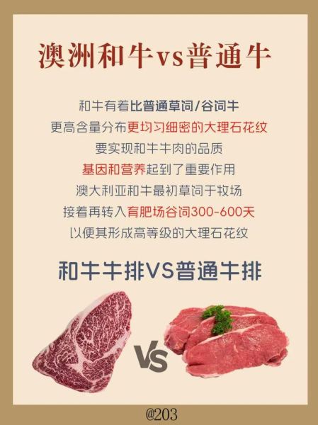 和牛多少钱一斤_为什么和牛价格差异大-第2张图片-山城妙识