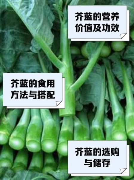 芥兰菜的功效与作用_芥兰菜怎么吃最营养-第1张图片-山城妙识