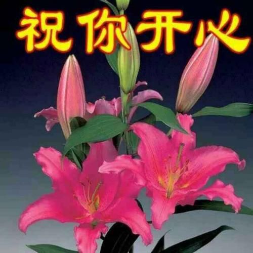 公虾米我亲亲是什么意思_公虾米我亲亲歌词解析-第3张图片-山城妙识