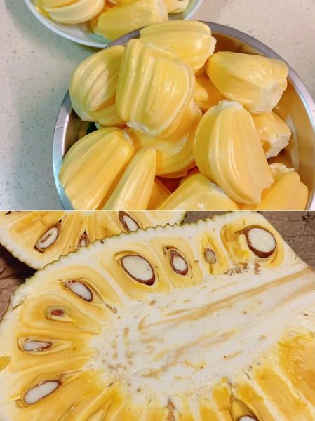 菠萝蜜菠萝蜜菠萝蜜免费观看_如何在线看-第1张图片-山城妙识