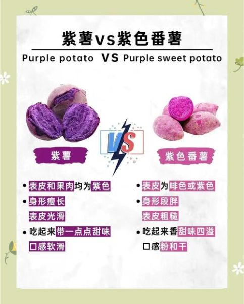 紫薯不适合什么人吃_哪些人不能吃紫薯-第1张图片-山城妙识