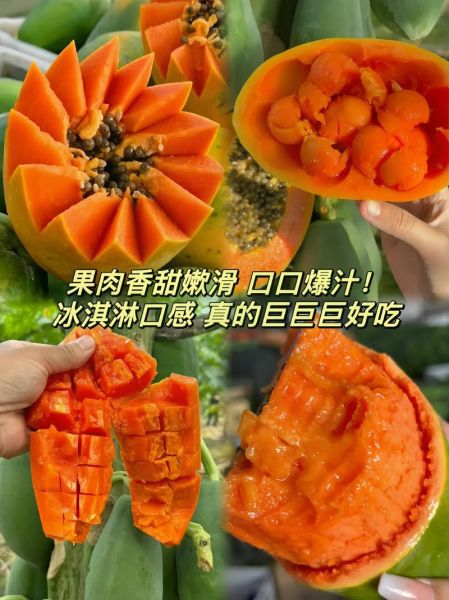 牛奶木瓜的功效与作用_牛奶木瓜怎么吃最好-第2张图片-山城妙识 牛奶木瓜的功效与作用_牛奶木瓜怎么吃最好-第2张图片-山城妙识