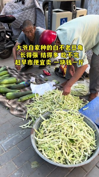 豆角电影电视剧在线观看_豆角影视免费看-第3张图片-山城妙识 豆角电影电视剧在线观看_豆角影视免费看-第3张图片-山城妙识