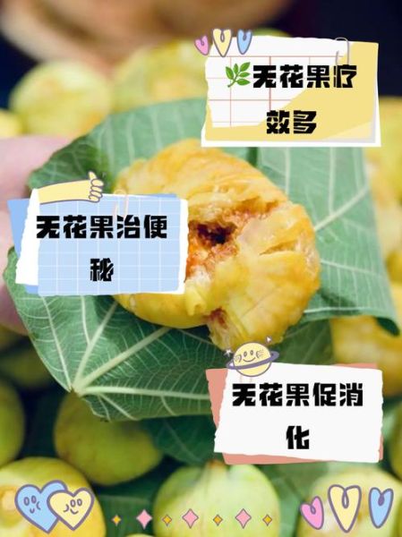无花果治痔疮真的有用吗_无花果治痔疮的正确吃法-第2张图片-山城妙识