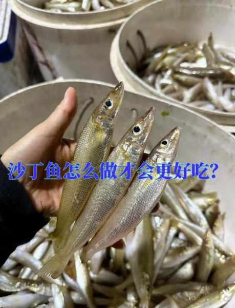 小沙丁鱼怎么做好吃_家常做法窍门-第2张图片-山城妙识