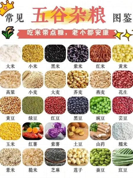 粗粮杂粮有哪些_粗粮杂粮有哪些区别-第2张图片-山城妙识