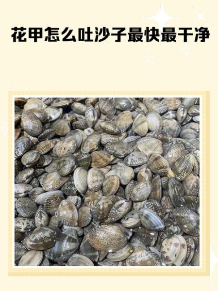 花甲怎么吐沙最干净_花甲吐沙最快的方法-第2张图片-山城妙识 花甲怎么吐沙最干净_花甲吐沙最快的方法-第2张图片-山城妙识