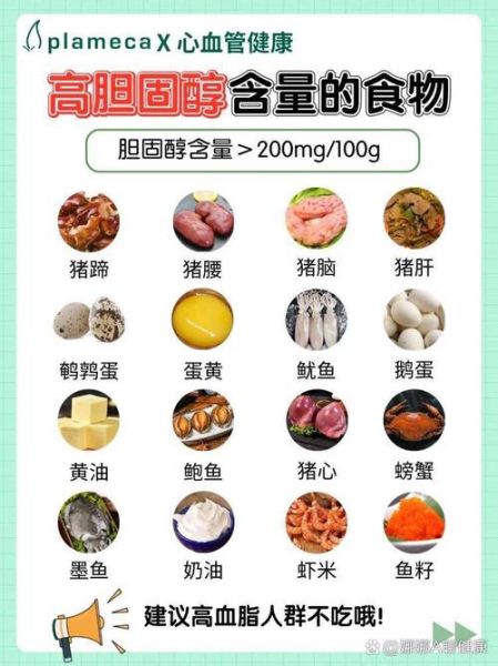胆固醇高不能吃什么_胆固醇高少吃10类食物-第3张图片-山城妙识
