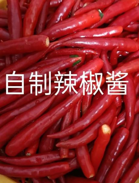 生辣椒酱怎么做_生辣椒酱保存多久-第1张图片-山城妙识