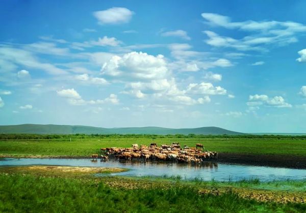 诺敏塔拉在哪里_诺敏塔拉草原门票多少钱-第1张图片-山城妙识