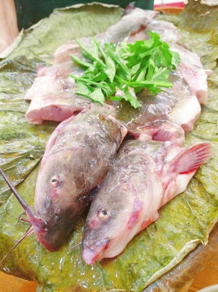 塘坝鱼怎么做好吃_塘坝鱼的家常做法窍门-第1张图片-山城妙识