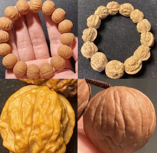 野生山核桃图片_如何辨别真假野生山核桃-第3张图片-山城妙识 野生山核桃图片_如何辨别真假野生山核桃-第3张图片-山城妙识