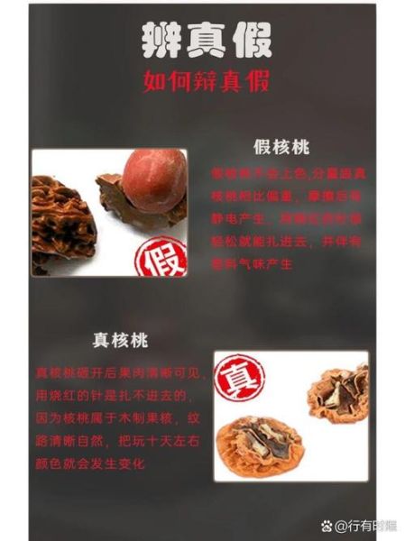 野生山核桃图片_如何辨别真假野生山核桃-第2张图片-山城妙识 野生山核桃图片_如何辨别真假野生山核桃-第2张图片-山城妙识